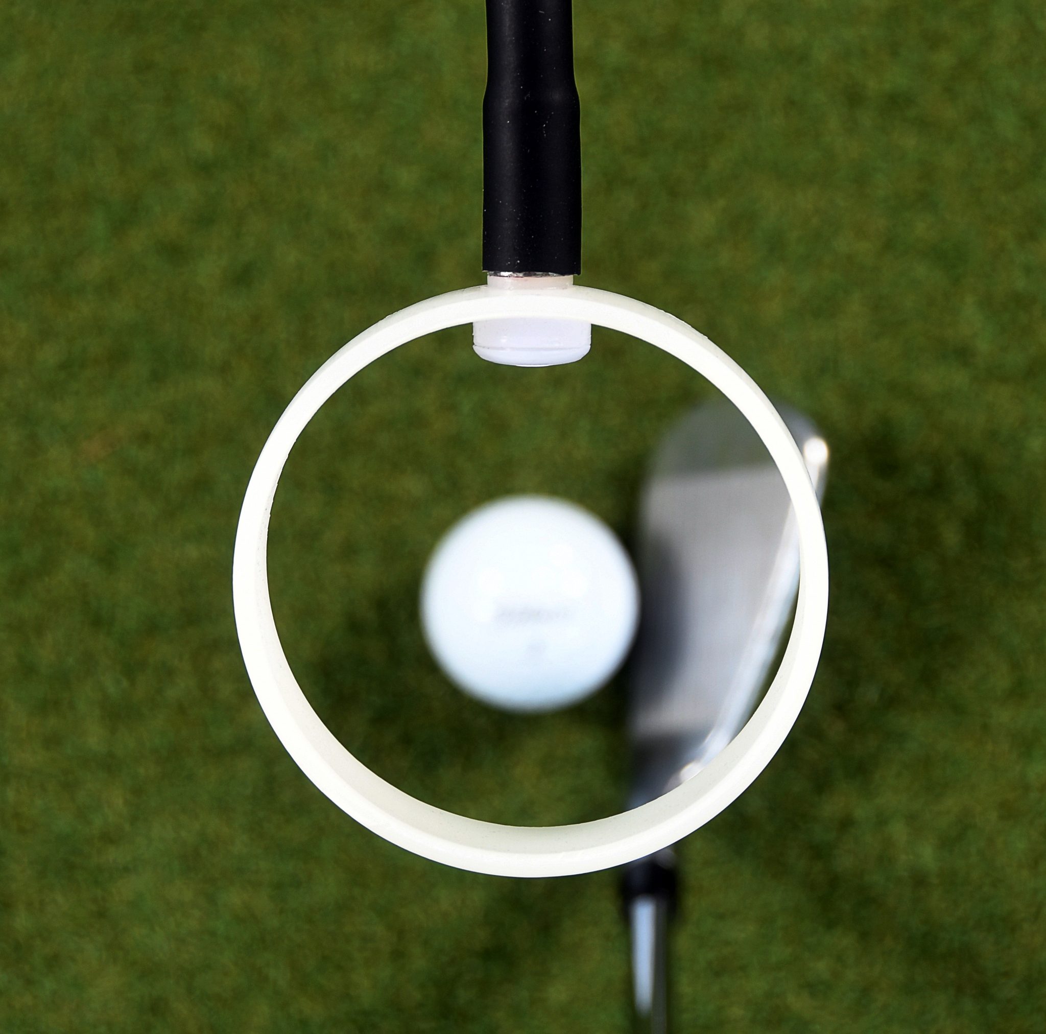 New Product - The Swing Eye - The Swingplate USA