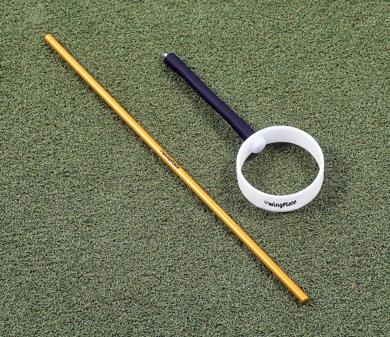 New Product - The Swing Eye - The SwingPlate